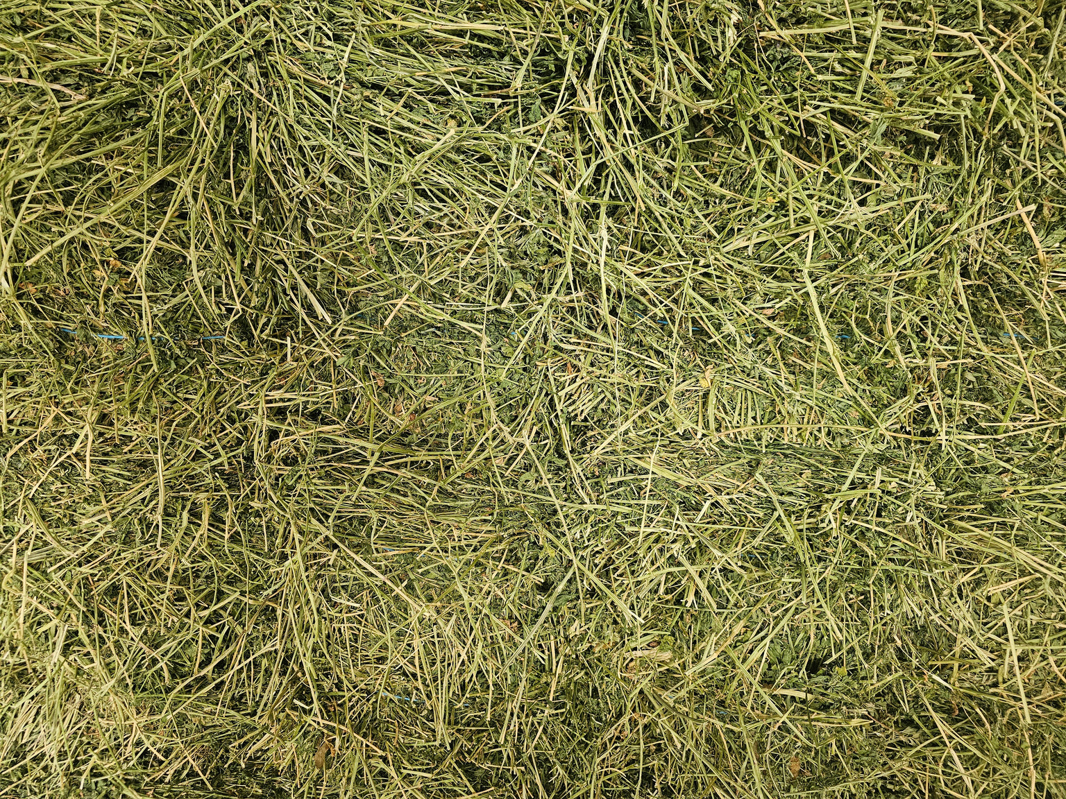 Hay & Chaff — Herne Hill Stockfeeds