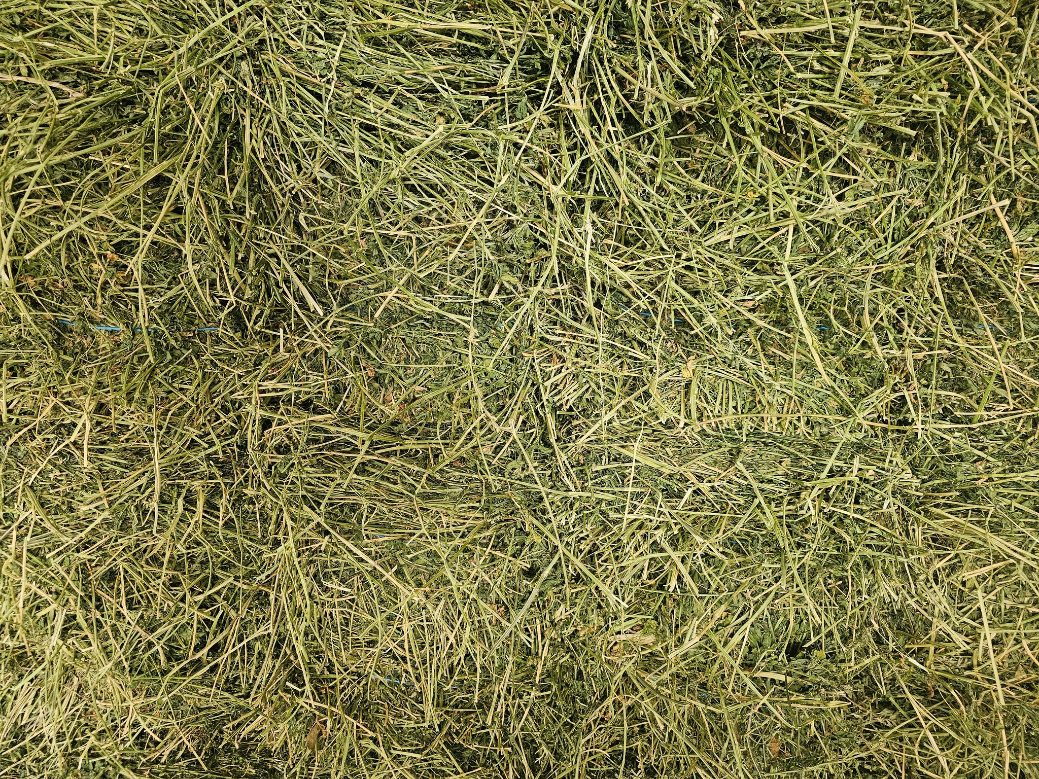Hay & Chaff — Herne Hill Stockfeeds