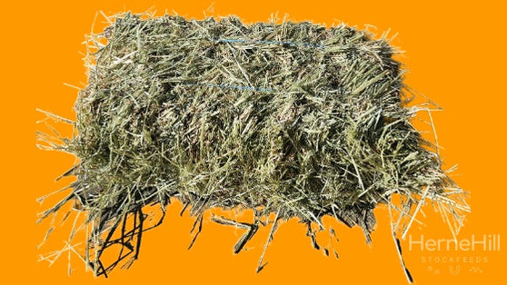 Hay & Chaff — Herne Hill Stockfeeds