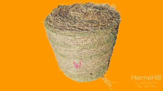 Hay & Chaff — Herne Hill Stockfeeds
